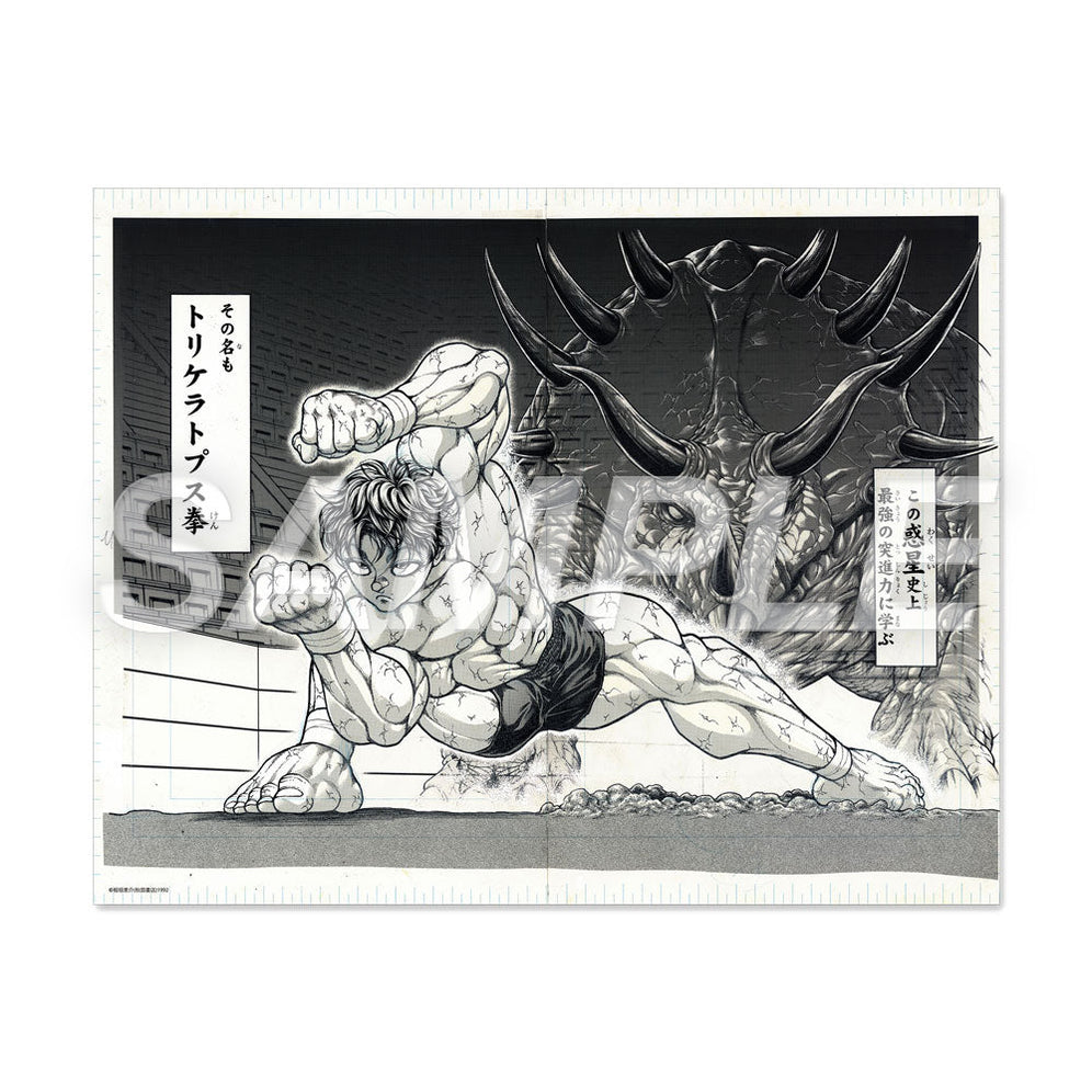 Baki 30th Anniversary Exhibition– JapanResell