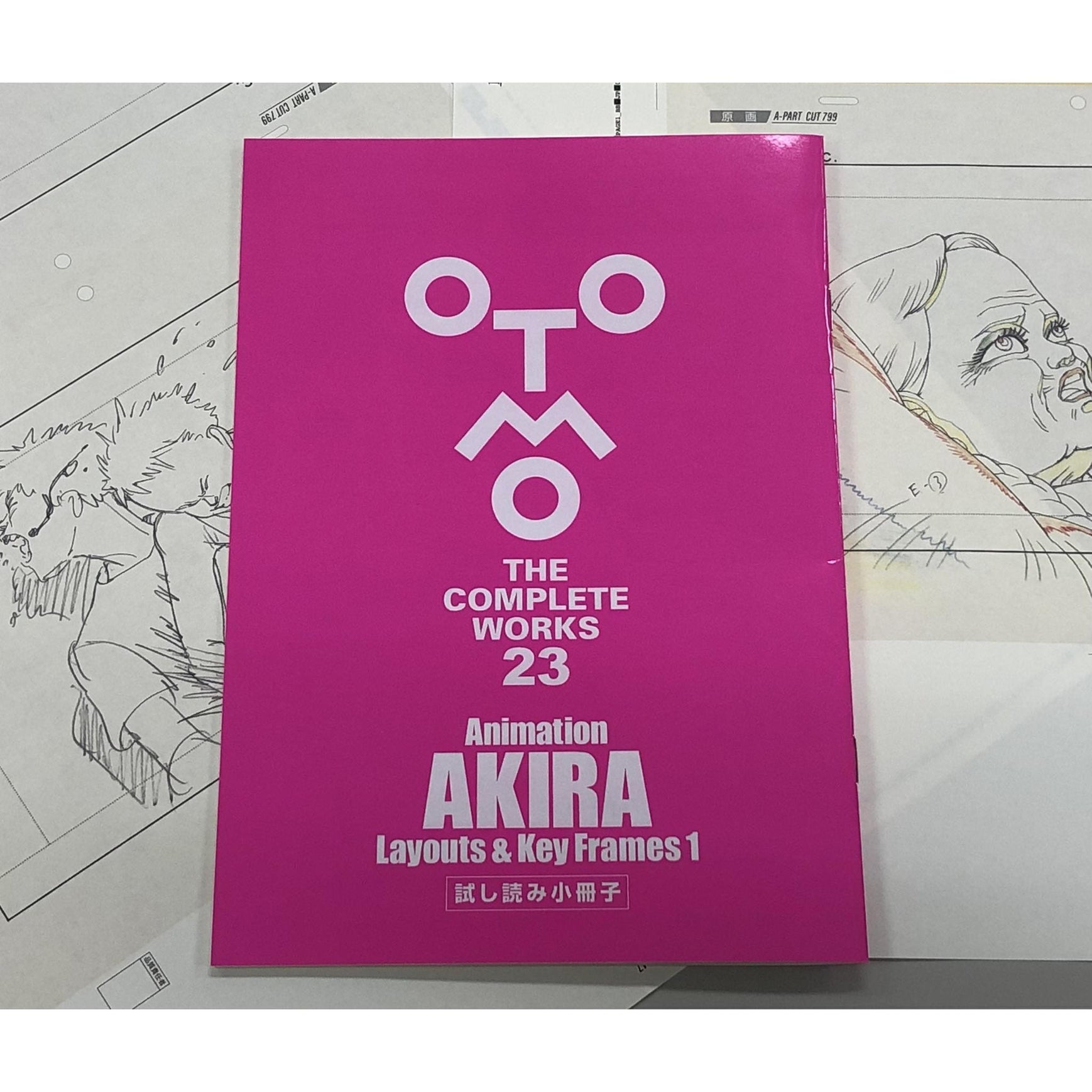 Artbook - Animation AKIRA Layouts & Key Frames Vol.1 (OTOMO THE CO ...